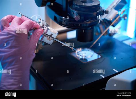 Microscope Setup With Micromanipulator Performing Detailed Lab Work