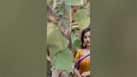 Desi Nuesca Dubai Shorts Viralvideo Youtube