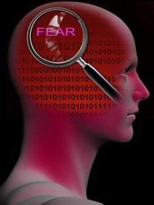 Understanding The Five Step Series Of Fear Defense Responses