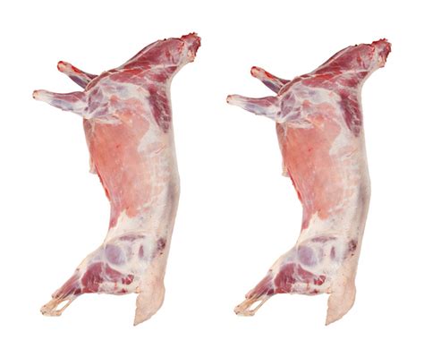 Lamb Carcass Img Kenmeat