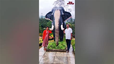 Trip To Munaar Youtube