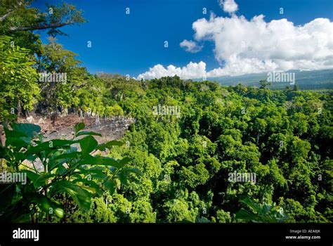 Mount Tafua Rainforesst Preserve Samoa Savaii Volcano Volcanic Jungle