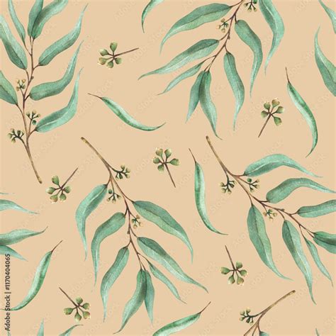 Eucalyptus Seeded Plant Branch With Leaves Seamless Pattern Watercolor