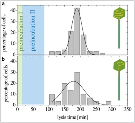 Influence Of Internal Capsid Pressure On Viral Infection By Phage