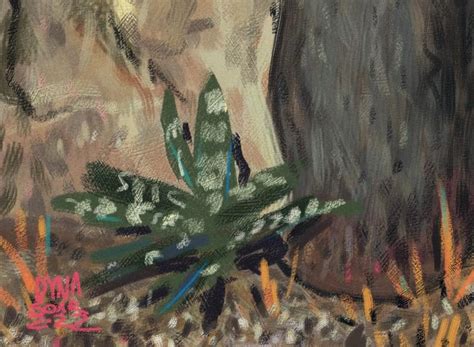 Dyna Soar 🦕 On Twitter Detail Uwj8d71a8l Twitter