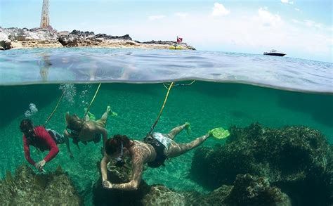 Third Lung The Scout Diving System Sports And Outdoors