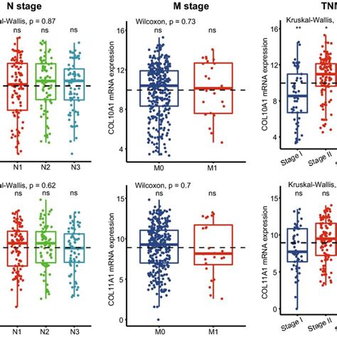 Differential Expression Of Col10a1 And Col11a1 Between Different Stages
