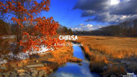 Chelsa 3d Name Wallpaper For Mobile Write Name On Photo Online