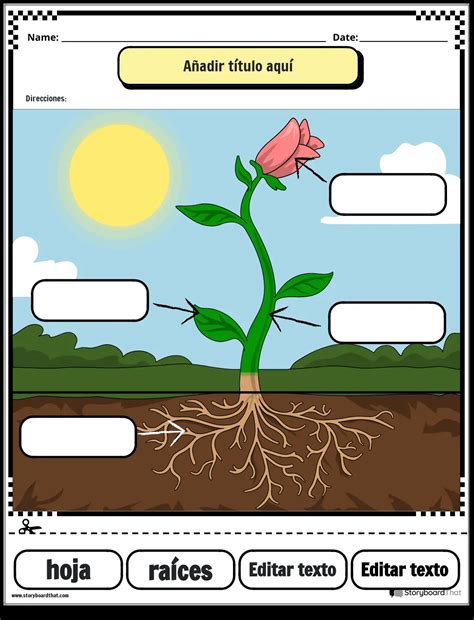Hoja De Trabajo De Cortar Y Pegar Partes De Una Planta Básico