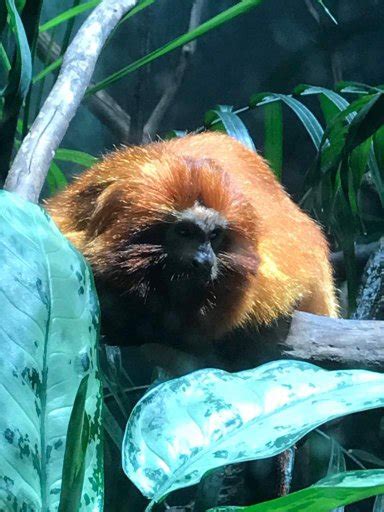 Emily Wiki Haters Back Off Amino