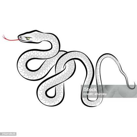 Ular Putih Tahun Ular Ilustrasi Vektor Ilustrasi Stok Unduh Gambar