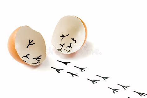 Concepto De Un Pollo Joven Escapado Imagen De Archivo Imagen De