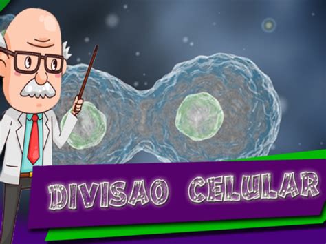 Divisão Celular Mitose E Meiose Mrzellfer Quizur