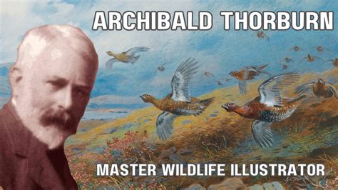 Archibald Thorburn The Legacy Of A Master Wildlife Illustrator