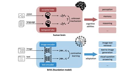 Top 10 Multimodal Datasets For Ai And Computer Vision