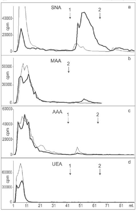 Figure 1 From Sialylation And Fucosylation Of Cancer Associated