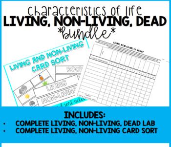 Cell Structure And Function A Complete Unit Lesson Plans Included