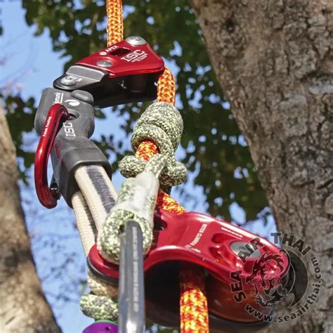 Chipmunk Flex สายโยงอุปกรณ์จับเชือกขึ้นลงต้นไม้ Rope Wrench บริษัท ซี