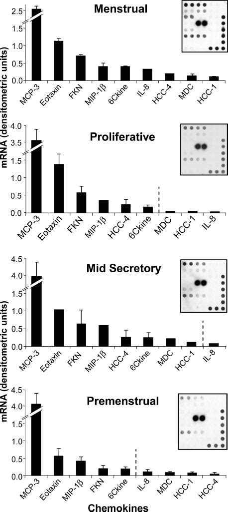 Gene Array Analysis Of Chemokine Expression At Times Of Selective