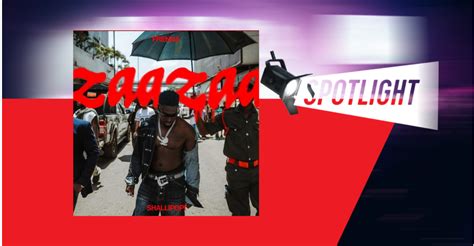 Spotlight Zaazaa Top 40 Nieuws