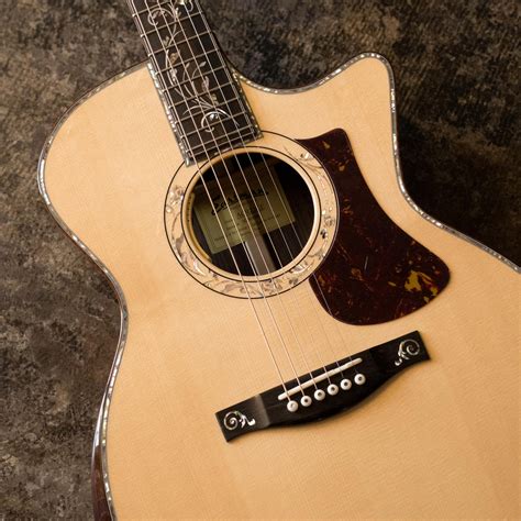 Dreadnought Acoustic Guitars The Acoustic Shoppe