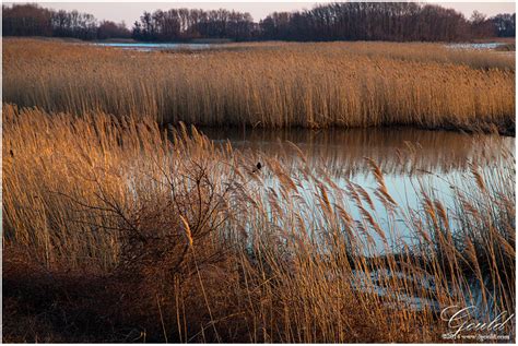 Spring Day In Delaware This Woman Wanders