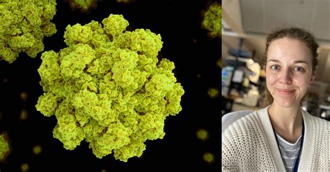 Stort Grattis Och All Lycka I Framtiden Till Vår Fantastiska Forskar Bt