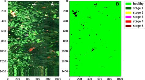 Classification Using The Laboratory Detection Model Of A Representative Download Scientific