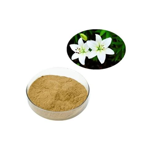 Lily Flower Extract At 1250 00 Inr In Indore Madhya Pradesh Kshipra