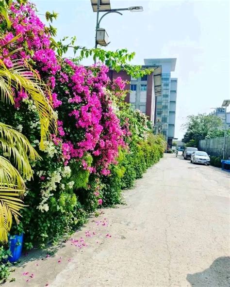 Nur Mohammad Emon On Linkedin This Environment Can Make Your Workplace More Natural To Work Dekko