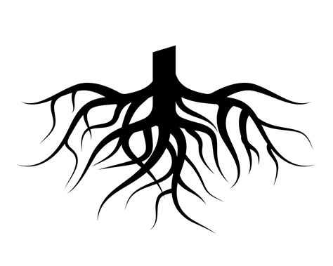 Root Svg Tree Roots Svg Roots Template Root Dxf Roots Dxf Tree Roots Dxf Roots Png Tree