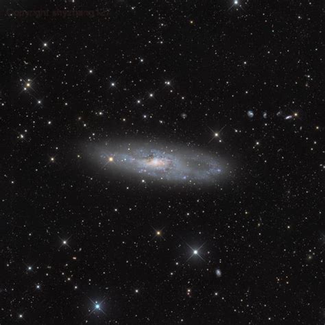 Ngc 247 And Burbidges Chain Astrobin