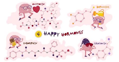 31400 Hormone Stock Illustrations Royalty Free Vector Graphics