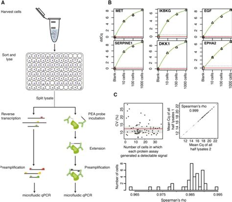 Experimental Approach And Validation Download Scientific Diagram