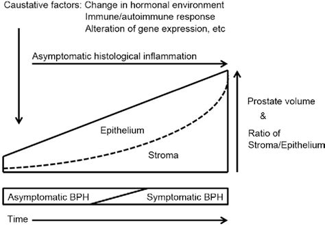 Figure 1 From The Influence Of Asymptomatic Inflammatory Prostatitis On