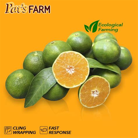 Jual Jeruk Peras Shopee Indonesia