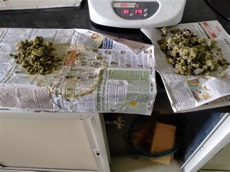 Isolation And Mass Multiplication Of Trichoderma Viride Design Innovation Center