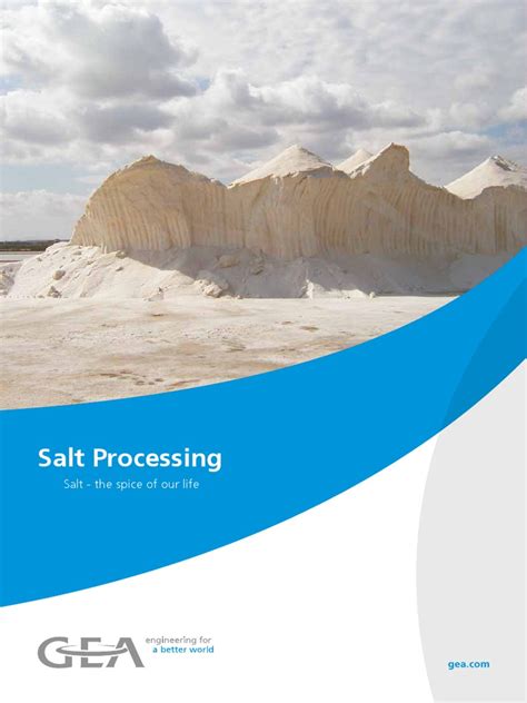 Salt Crystallization Evaporation Gea 171149 Pdf Salt Sodium Chloride