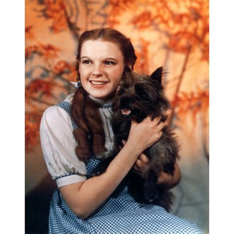 Dorothy Gale Costume The Wizard Of Oz Fancy Dress