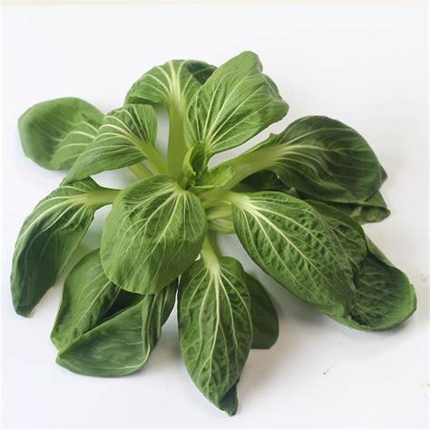 Farm Fresh Pak Choi Order Online At Growpro