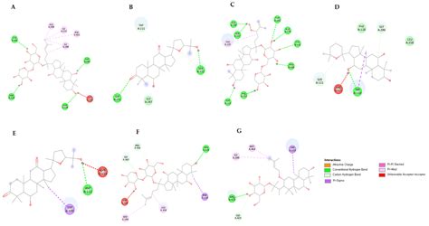 Genome Wide Comparative Profiles Of Triterpenoid Biosynthesis Genes In
