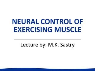 1 Neural Control Of Exercising Muscle PPT