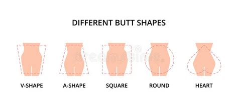 Butt Shape Chart
