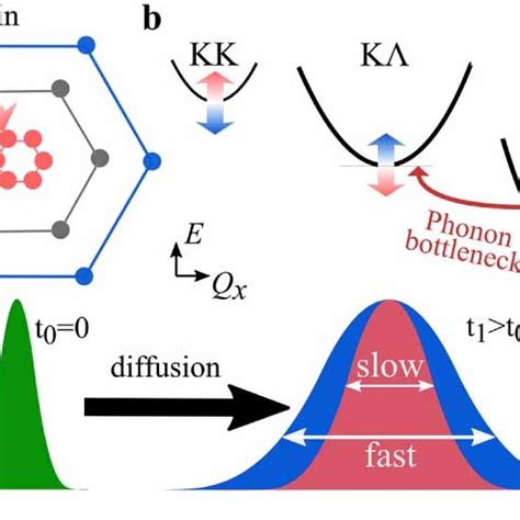 Strain Dependent Exciton Diffusion Biaxial Strain Implies A Lattice