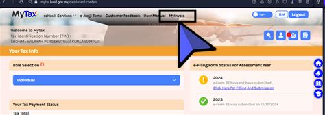 E Invoice 6 How To Issue A Consolidated E Invoice Via Myinvois Portal
