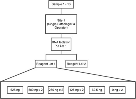 Overview Of The Design For The RNA Input Study RNA From Tissue Download Scientific Diagram