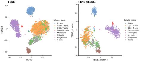 Incorporating Sketching Into A Typical Single Cell Analysis Workflow