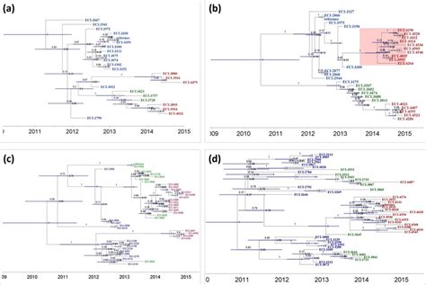 Bayesian Inference Of Time Scaled Phylogenies A O6 H34 B O22 H8