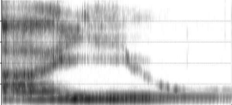 Spectrogram Of The Vowels A I And U Download Scientific Diagram