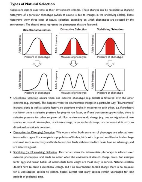 Selection Graphs Evolutionary Biology Biology Graphing